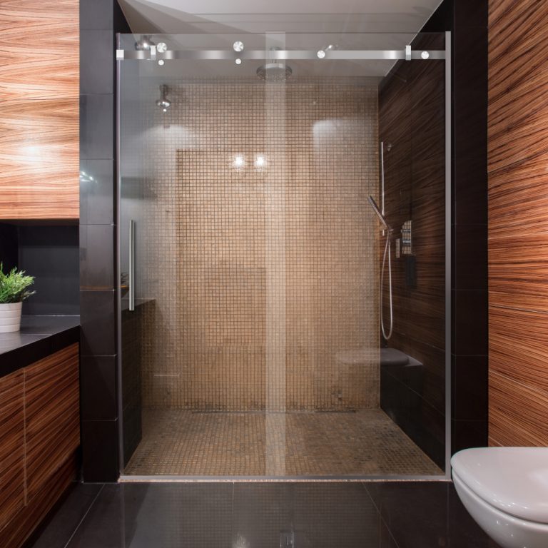 Shower Doors - Home Surplus